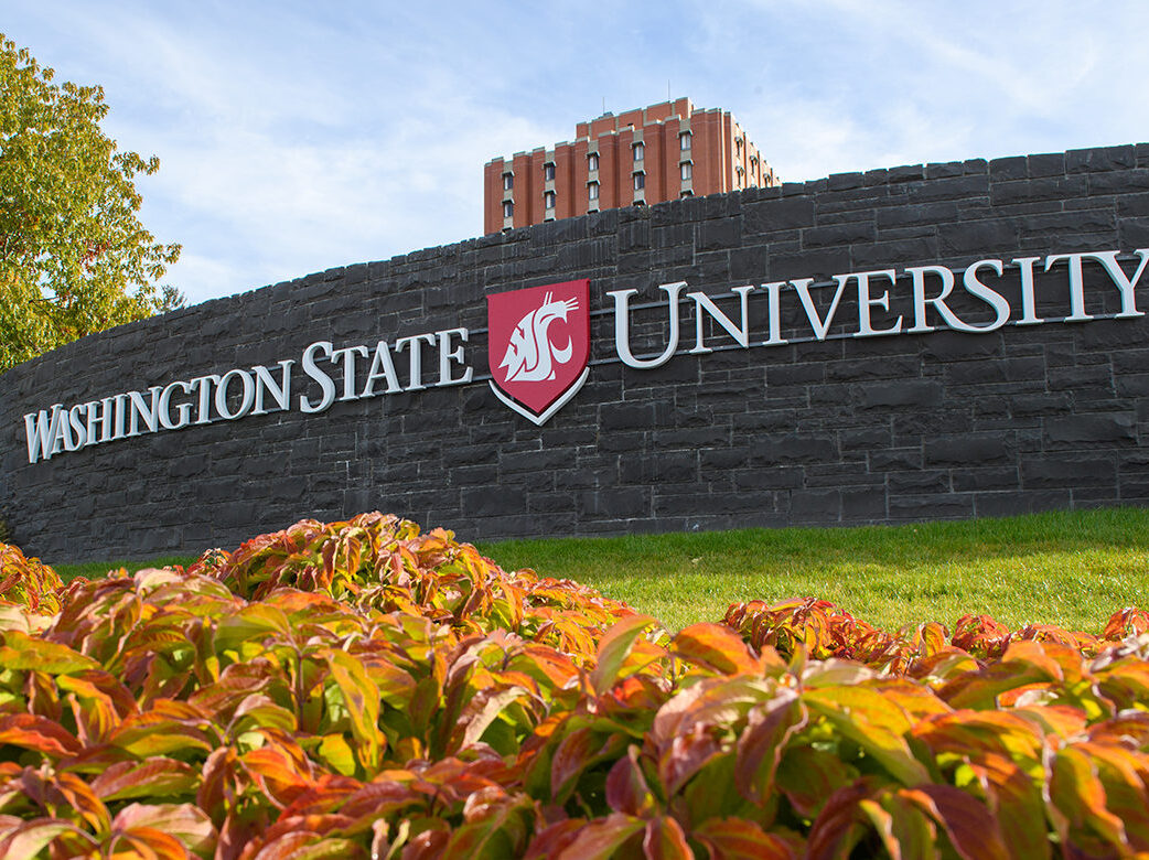 WSU Insider – HRS Units – Human Resource Services, Washington State ...