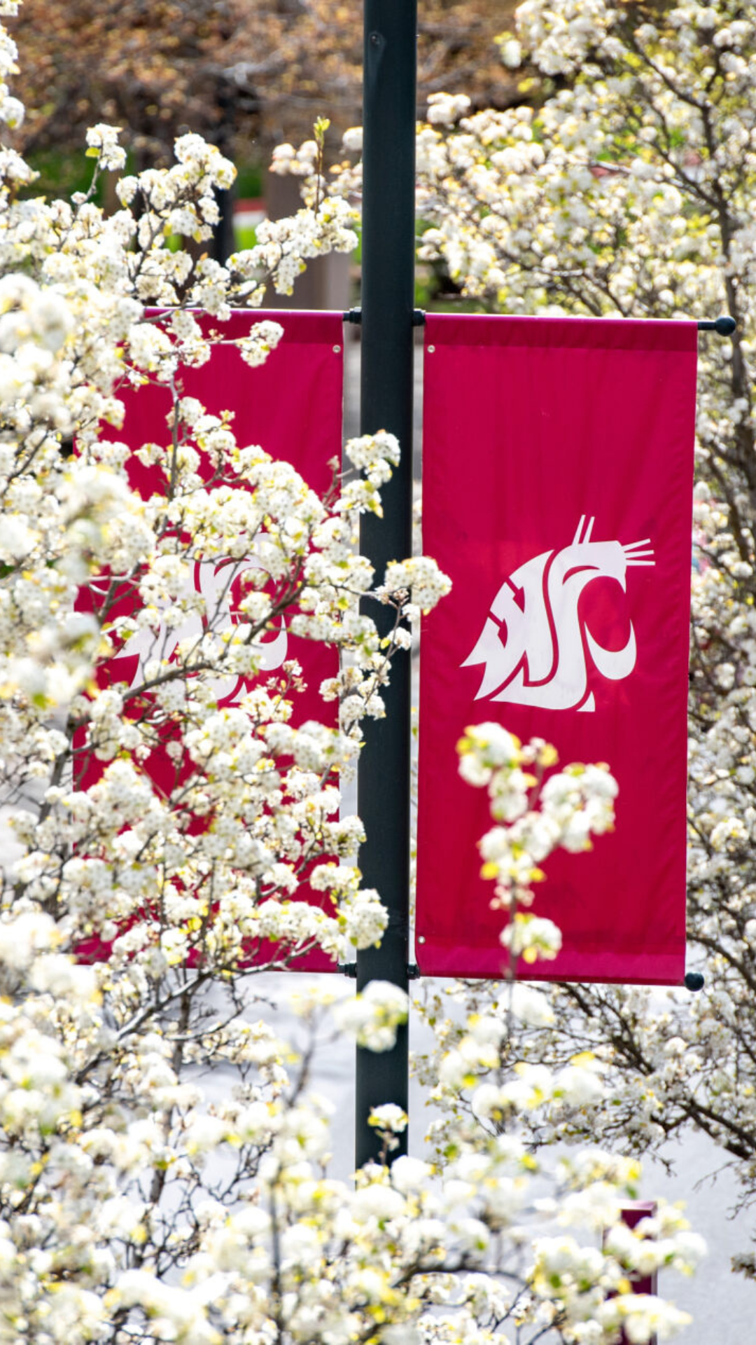 Recruitment Toolkit – Human Resource Services, Washington State University
